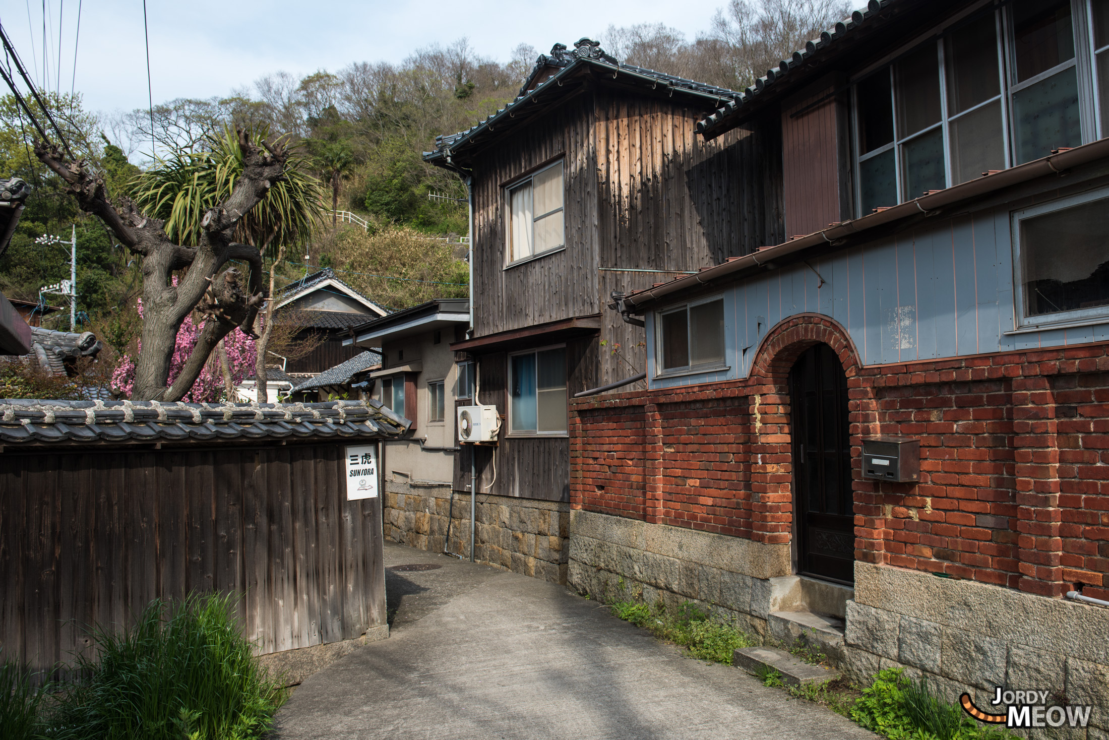 Enchanting Island of Cats: Manabe-shima Charm | Offbeat Japan